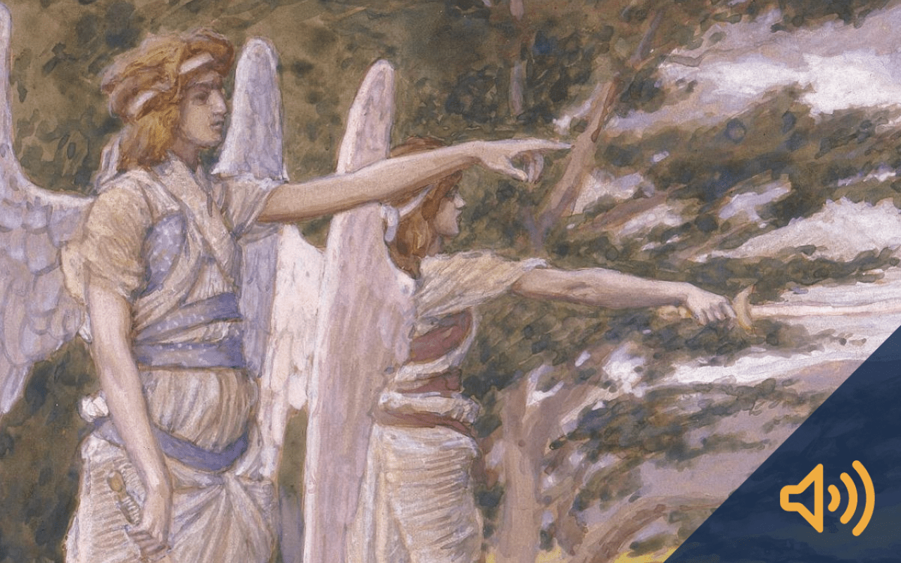 Part 2: Fall | Prime Matters