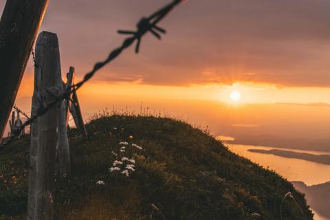 The Best News | Prime Matters